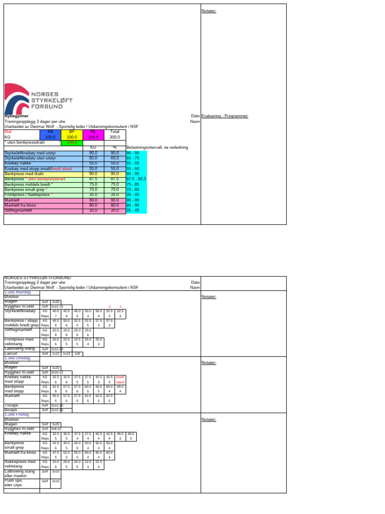 Tplan Nybegynner | PDF