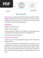 Triadan Tooth Numbering Guide | PDF | Dental Anatomy | Dentistry