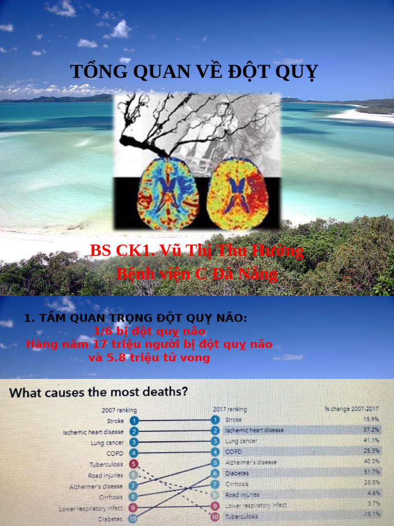 Tổng Quan Đ T Qu | PDF