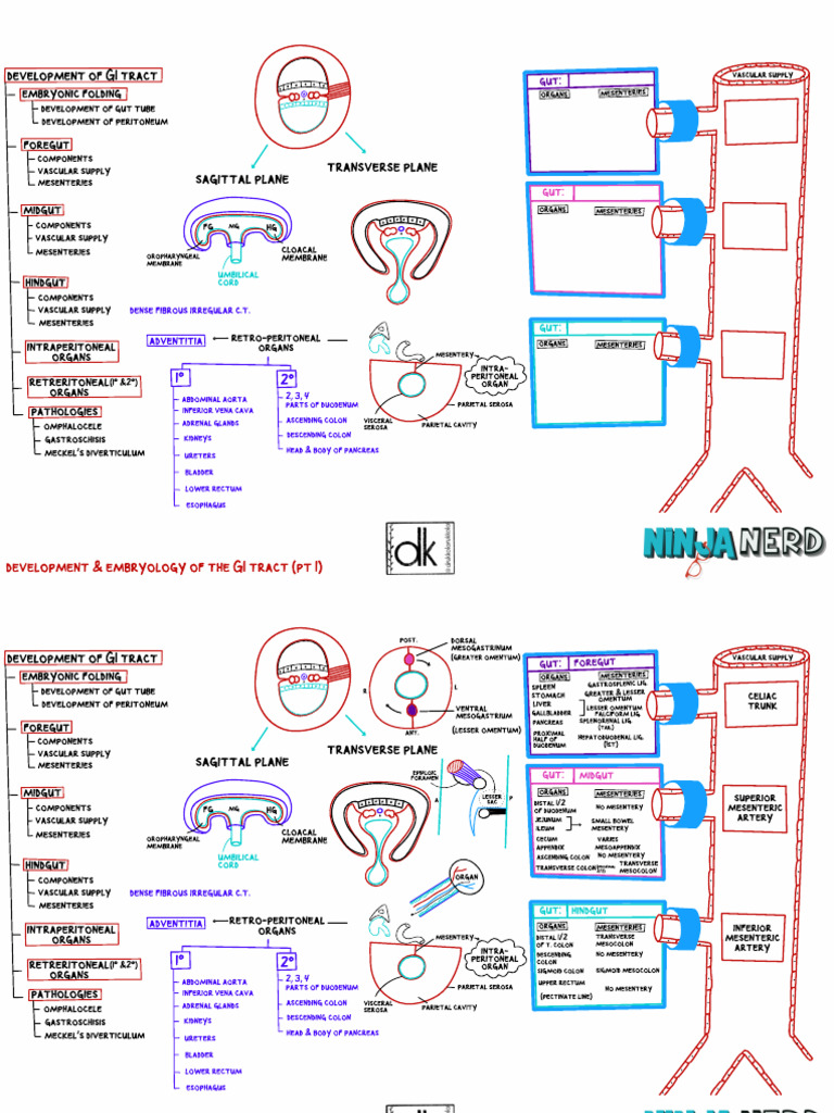12 - GIT Development | PDF