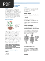 Plants Specialized Structures | PDF