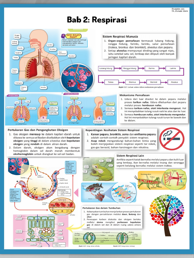Nota Sains Tingkatan 3 | PDF