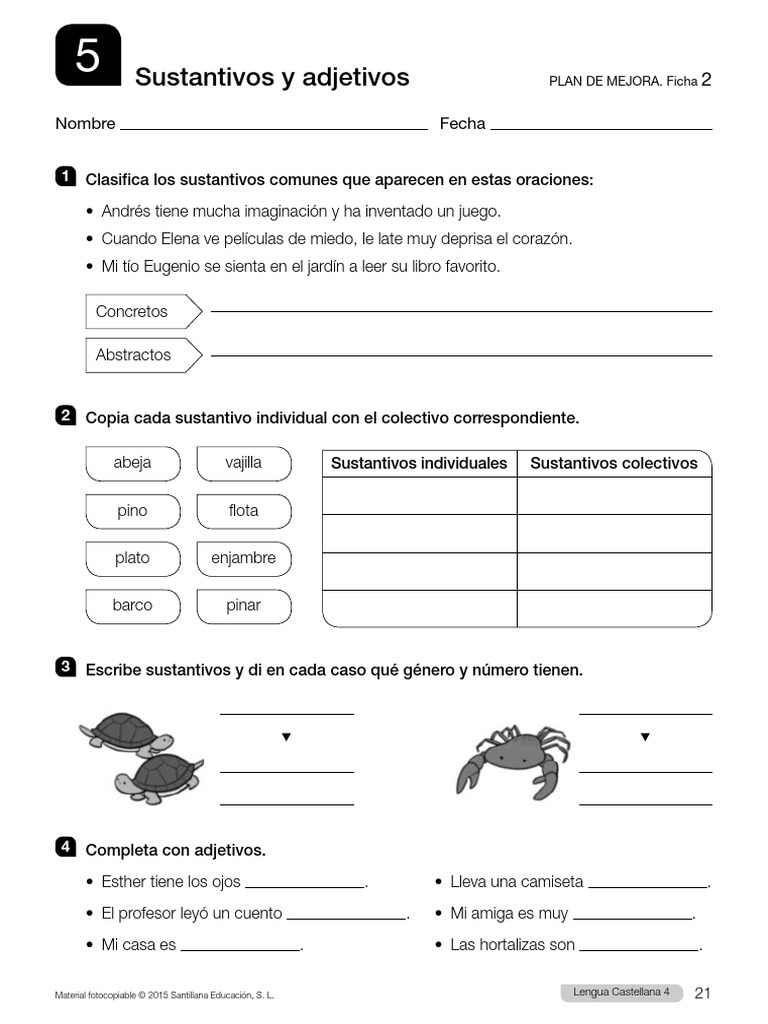Actividades Sustantivos | PDF