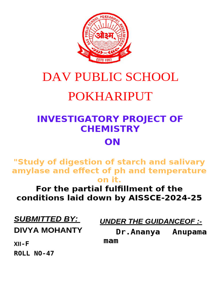 Project First 4 Pages | PDF