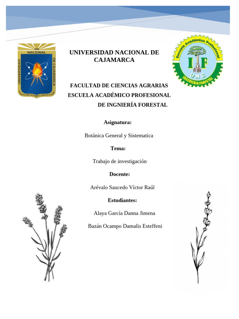 Estudio del Mutuy: Usos y Taxonomía | PDF | Flores | Agricultura