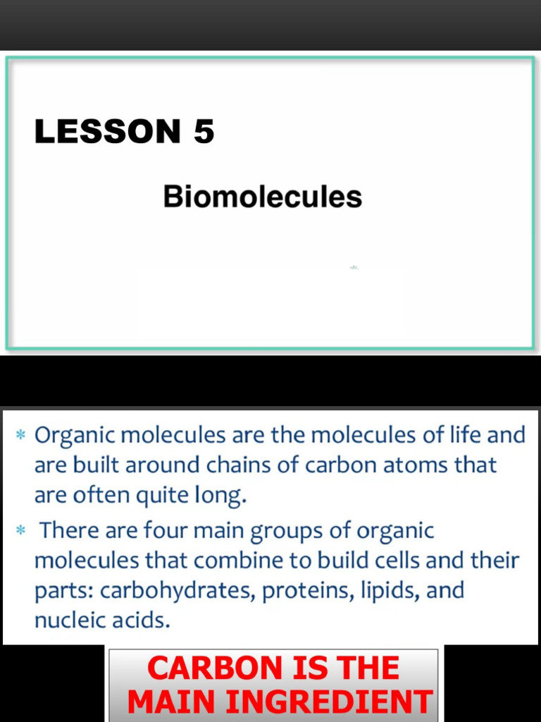 Biomolecules Carbohydrates | PDF