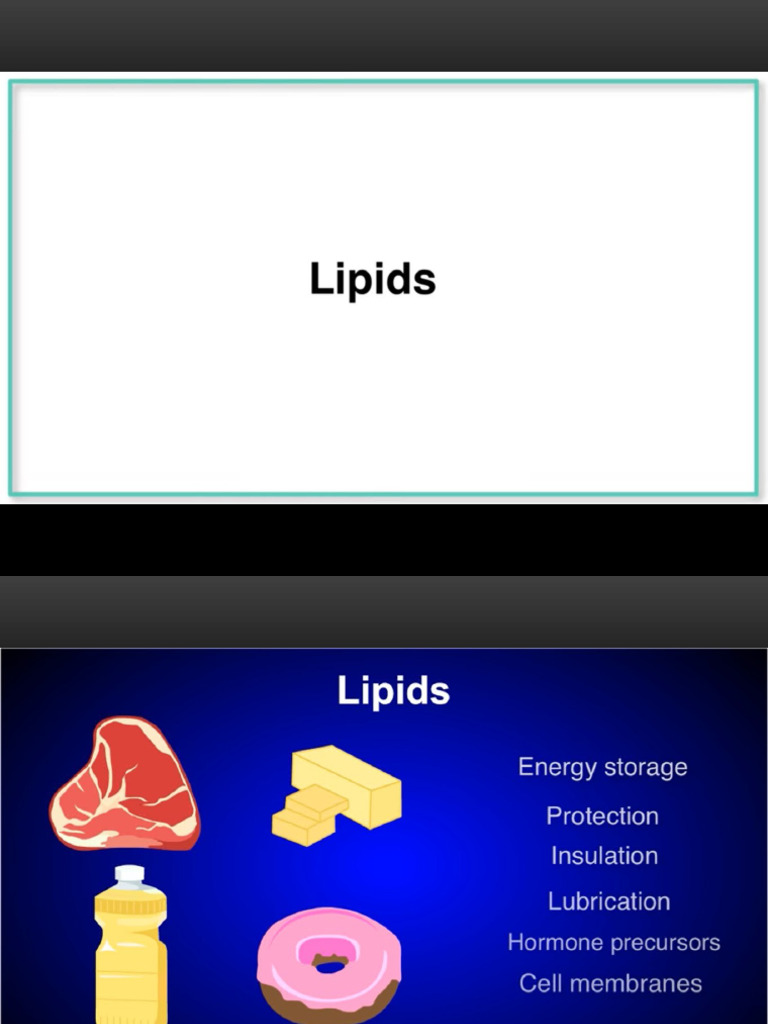 LIPIDS | PDF