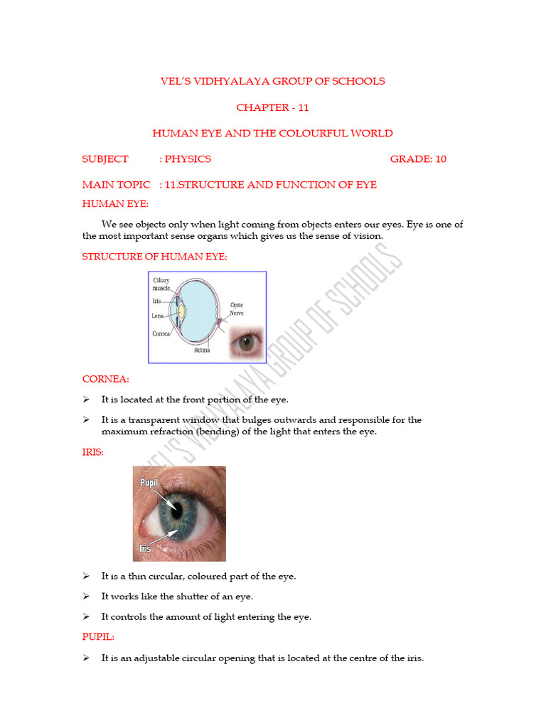 physics-STRUCTURE AND FUNCTION OF HUMAN EYE | PDF | Eye | Human Eye