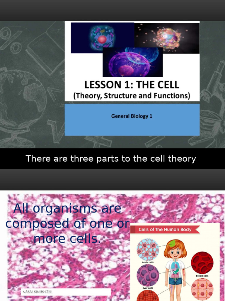 L1 - Cell Theory L2 - Cell Structure and Function | PDF | Science ...