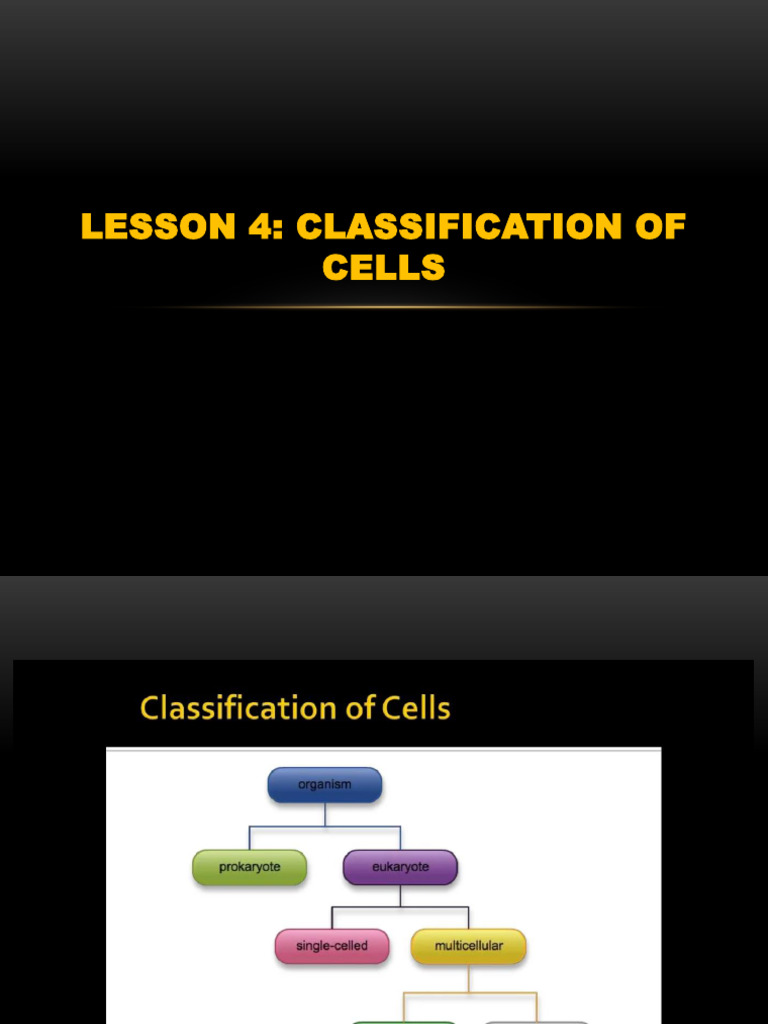 CLASSIFICATION OF CELL | PDF | Cell (Biology) | Prokaryote