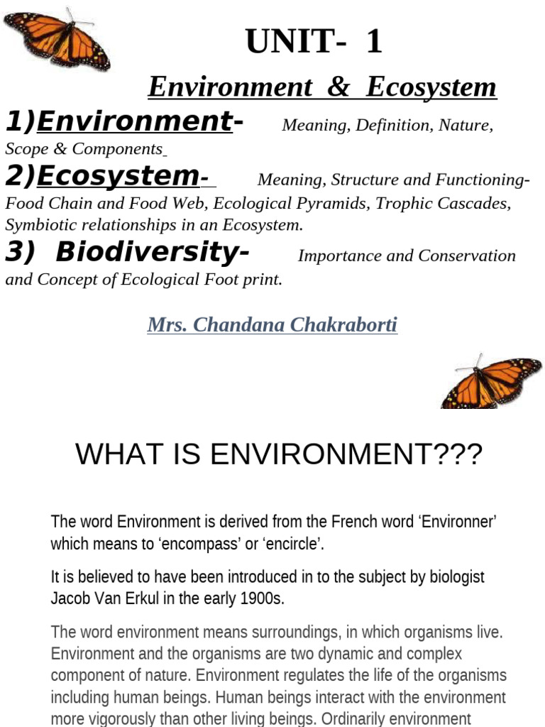 Understanding Ecosystems and Environment | PDF | Earth | Atmosphere