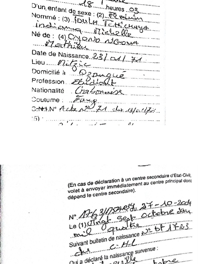 ACE Scanner_2024_10_20 | PDF