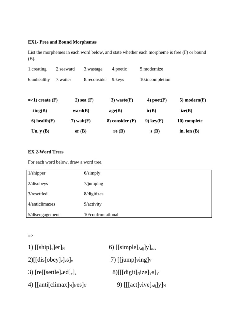 Morphology Assignment 2 | PDF | Linguistic Morphology | Linguistic Typology
