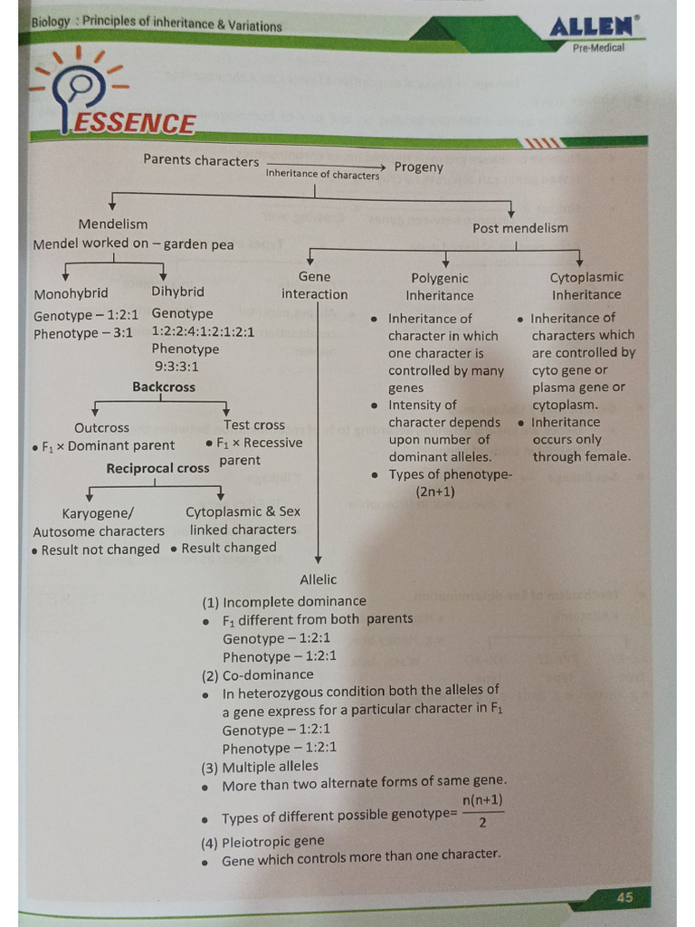 Genetic Disorders Flowchart | PDF
