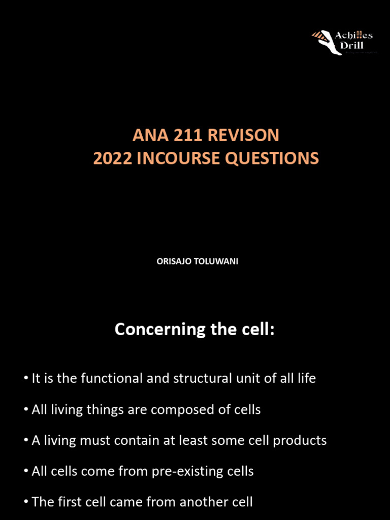 Ana 211 Revison Achilles Drill | PDF | Respiratory Tract | Lung