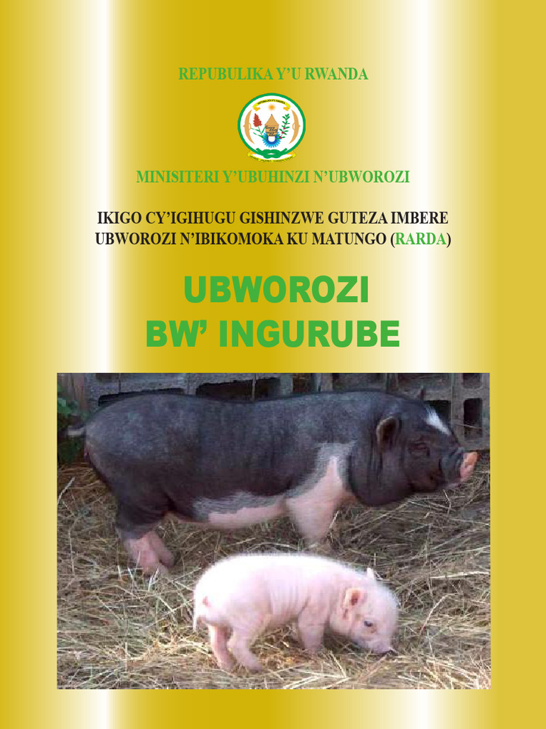 Ingurube Fin | PDF | Hindu Gods | Hindu Deities