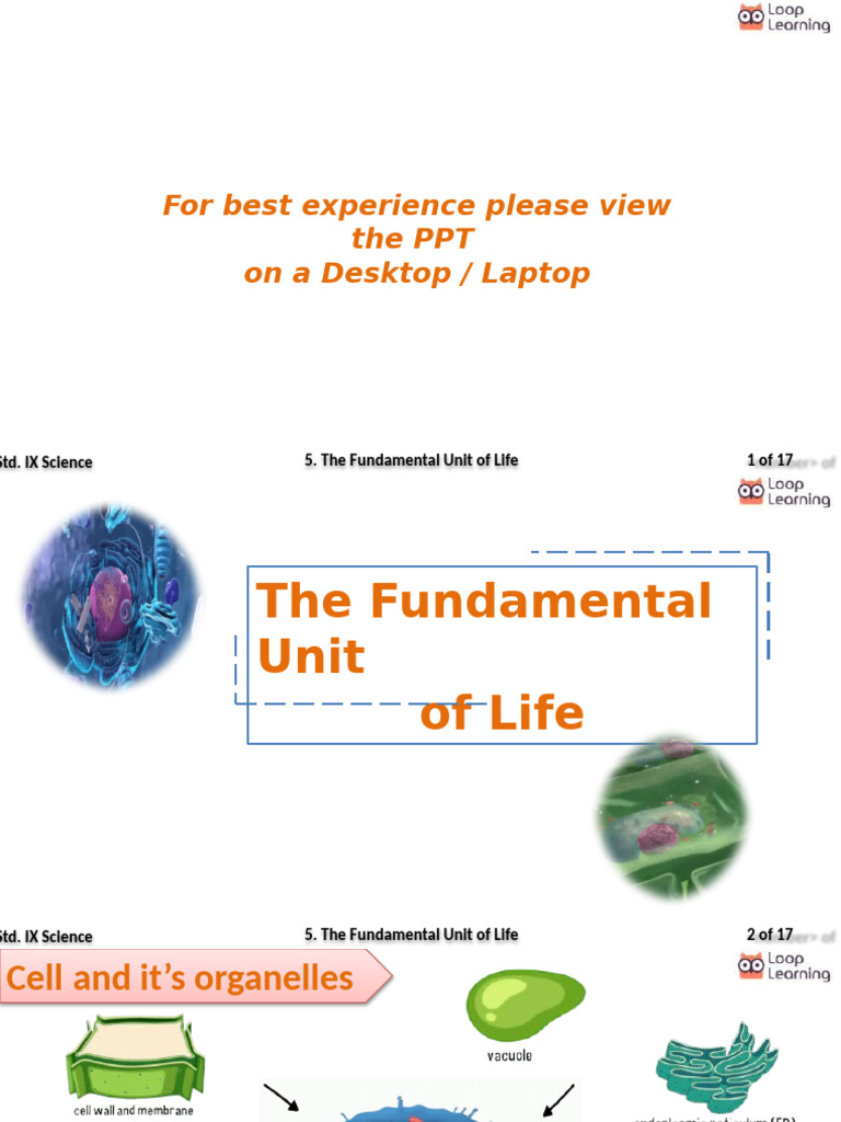 PPT4 CB IX Sci The Fundamental Unit of Life | PDF | Endoplasmic ...