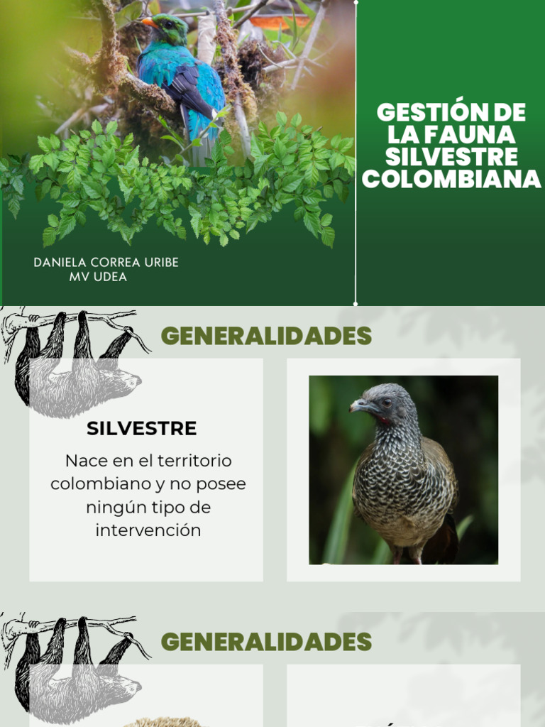 Gestión de Fauna Silvestre en Colombia | PDF | Fauna | Movimiento ...