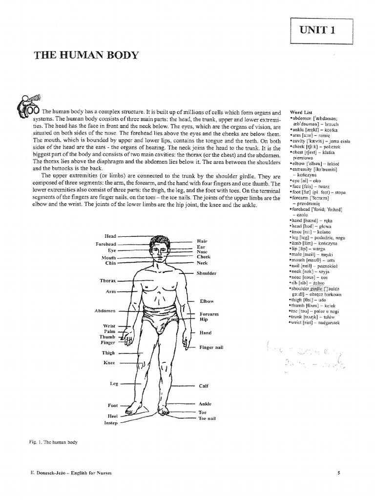 Rm4 The Body | PDF