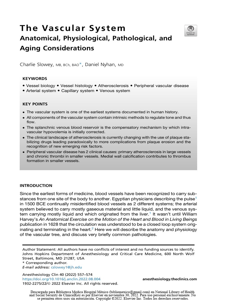 Thevascularsystem: Anatomical, Physiological, Pathological, and Aging ...