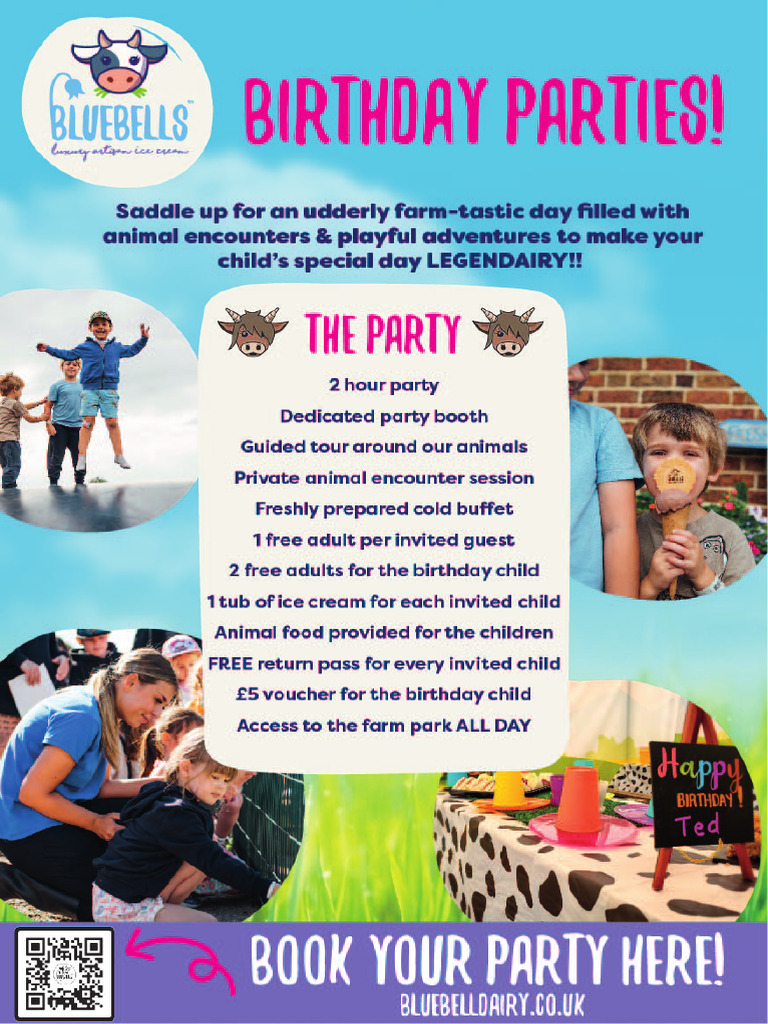 Birthday Party Packages | PDF