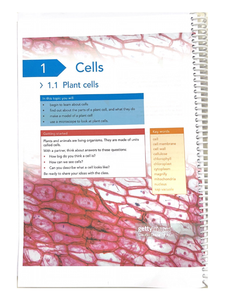 Science Unit 1 - Cells | PDF