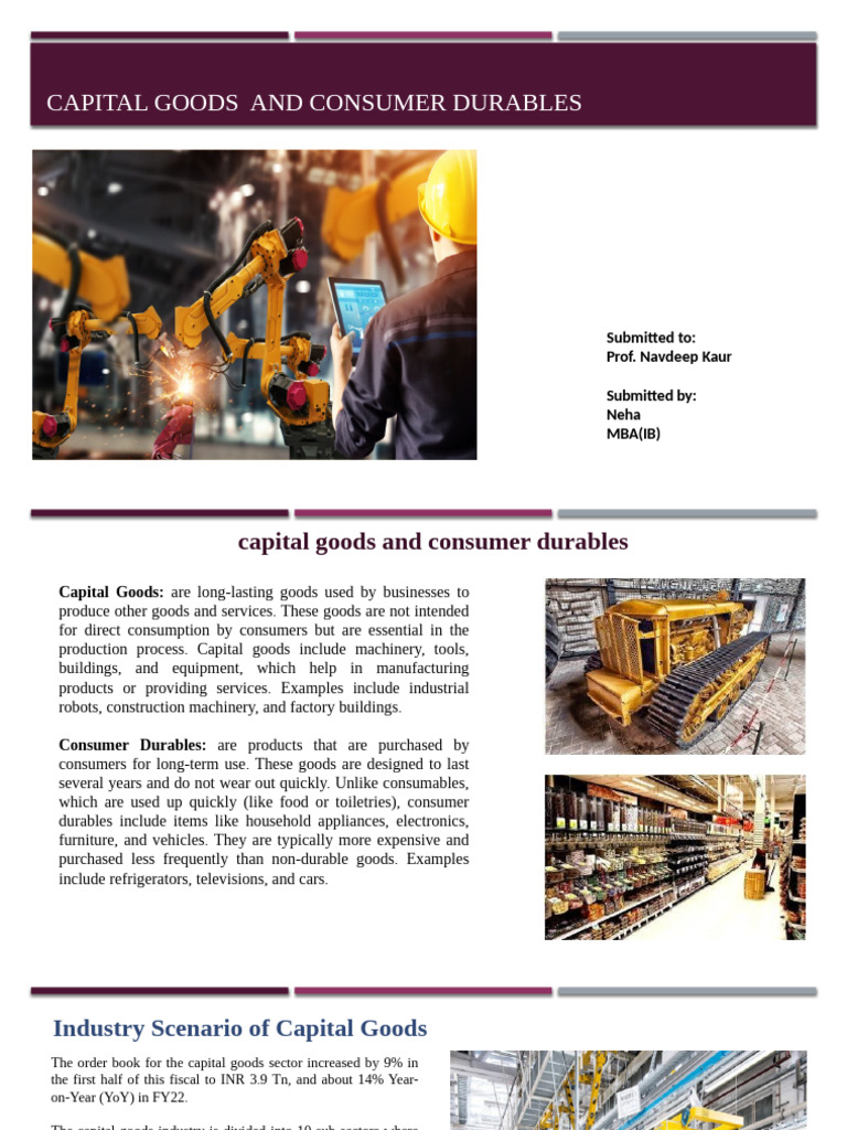 Capital Goods and Consumer Durables | PDF | Exports | Infrastructure