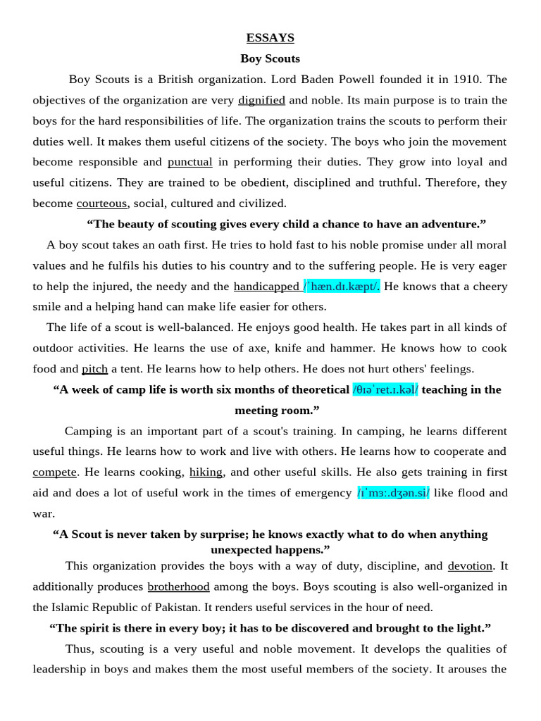 Essays and Paragraphs 10 | PDF | Surah | Quran