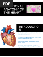 Human Heart Anatomy Overview | PDF | Heart | Heart Valve
