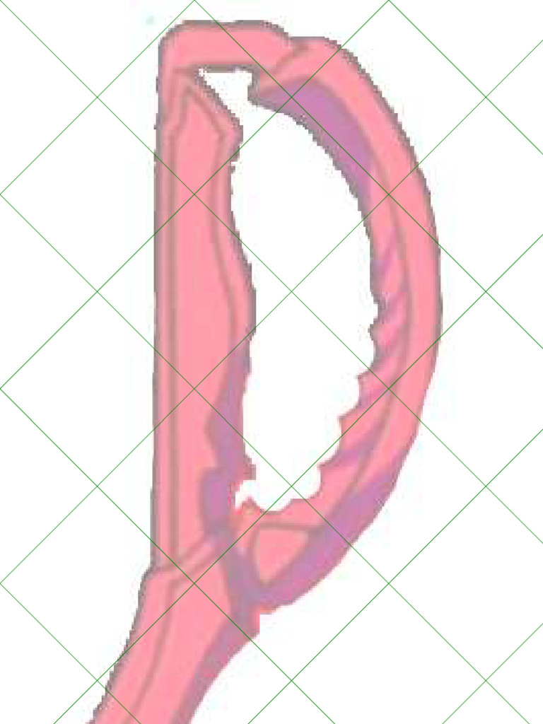 Matoiscissor PAIR | PDF