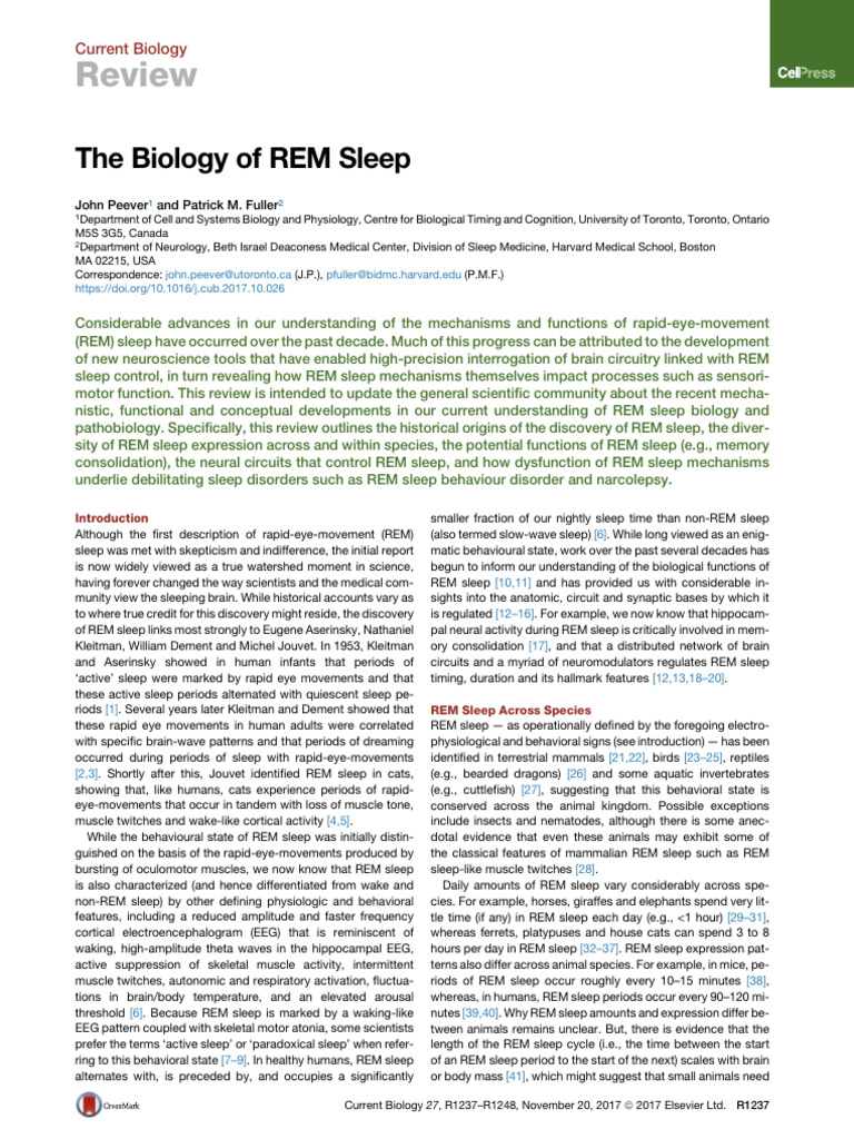REM Sleep Mechanisms and Disorders | PDF | Rapid Eye Movement Sleep | Sleep