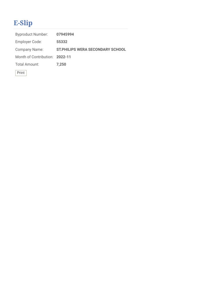 Employer Portal | PDF | Finance & Money Management