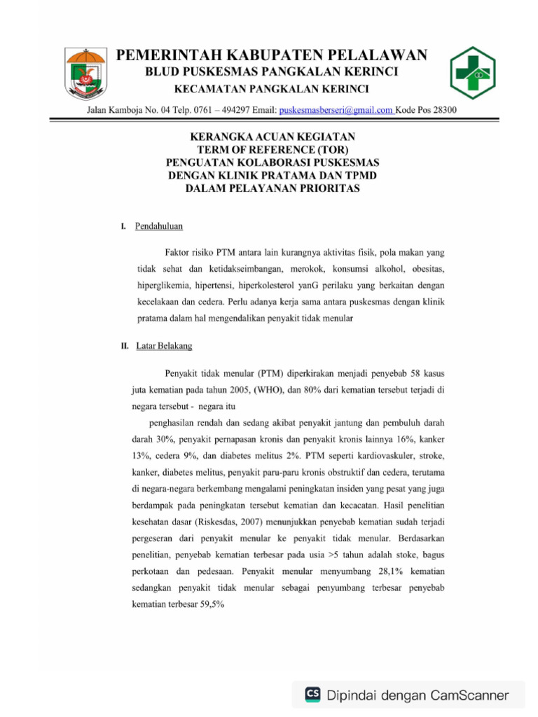 TOR & RAB Penguatan Kolaborasi PKM Dan K | PDF