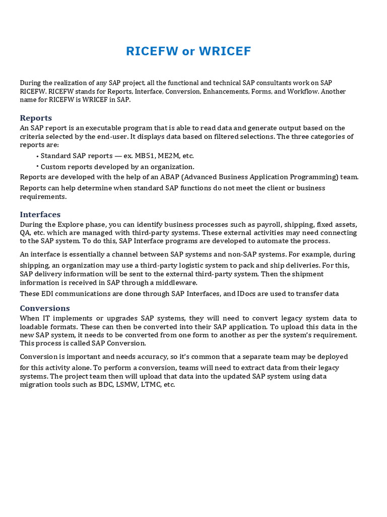 RICEFW or WRICEF 1715609323 | PDF | Systems Engineering | Computer ...