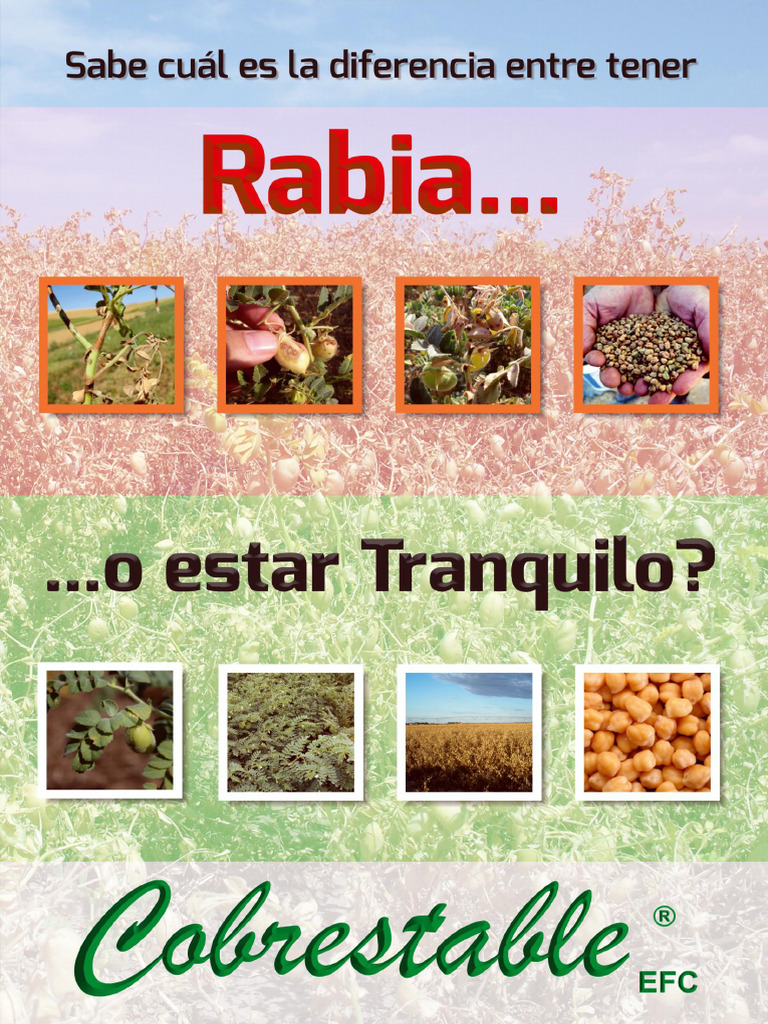 Rabia en Garbanzo | PDF