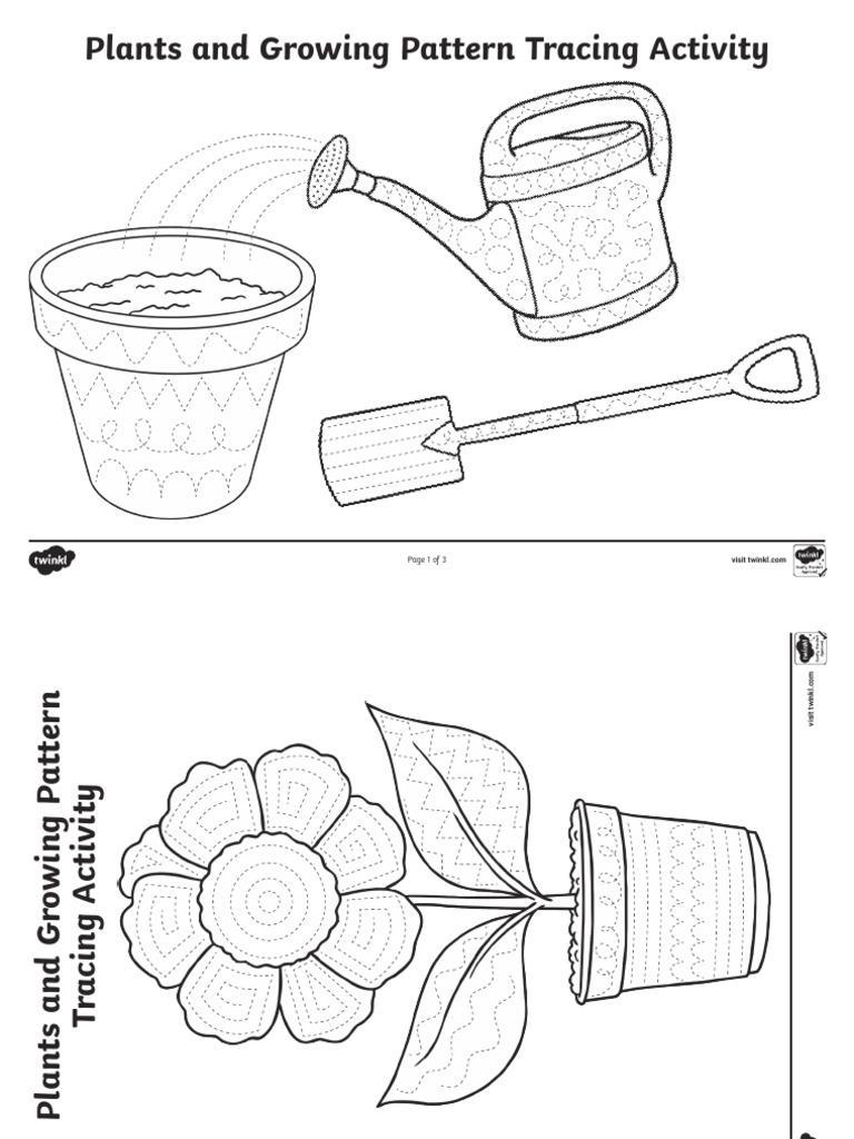 T TP 1673871877 Plants and Growing Pattern Tracing Activity Ver 1 | PDF