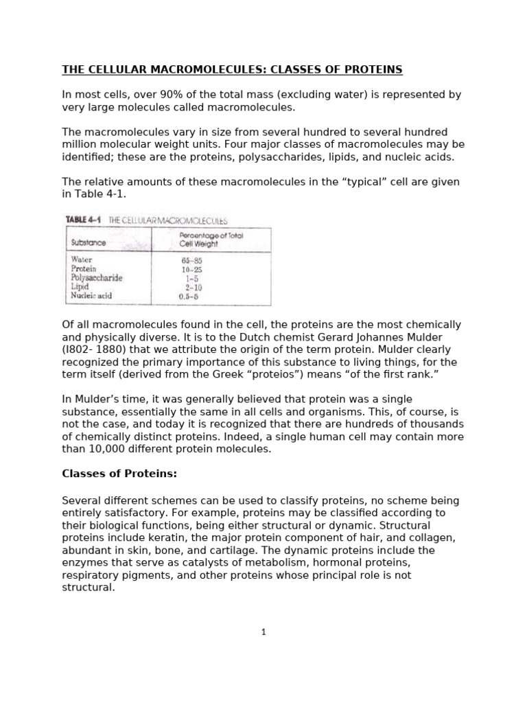 The Cellular Macromolecules Classes Pdf Proteins Macromolecules