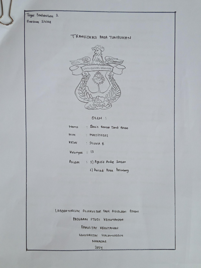 Tugas Pendahuluan Praktikum 2 (Davit Banten Tandi Palobo) | PDF