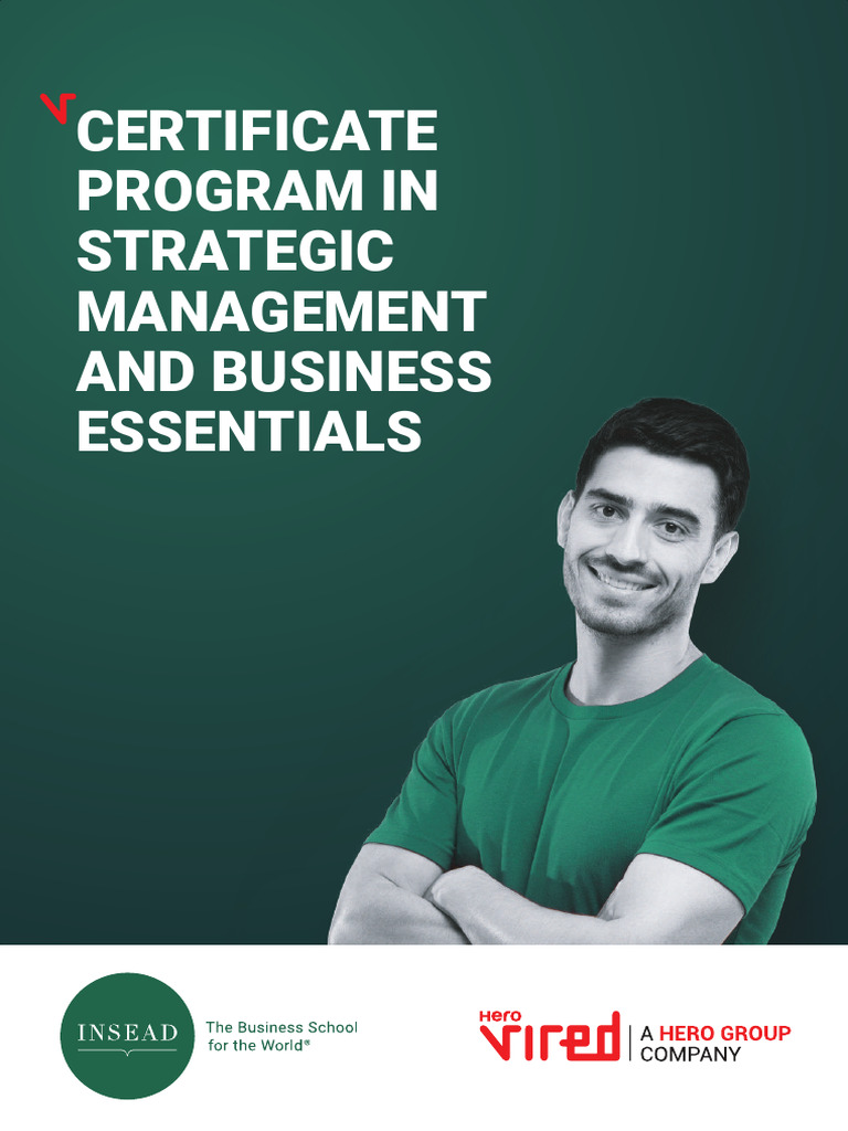 Smbe Brochure Insead | PDF | Entrepreneurship | Marketing