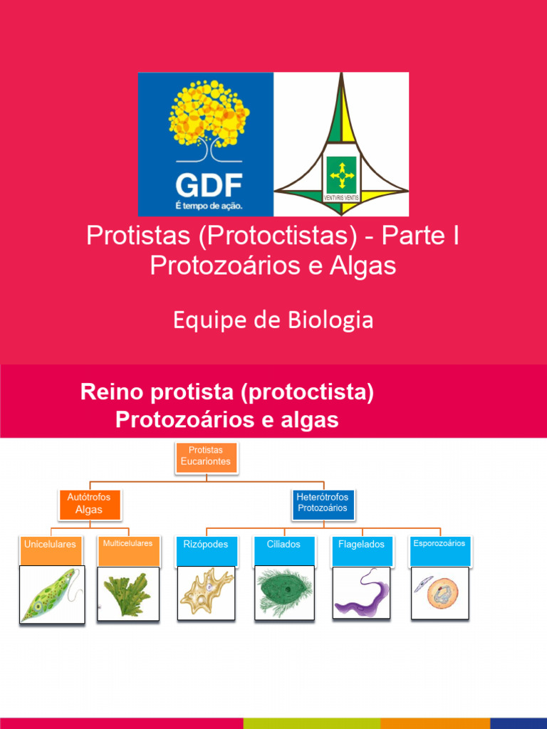 Classificação e Características dos Protistas | PDF | Protozoários ...
