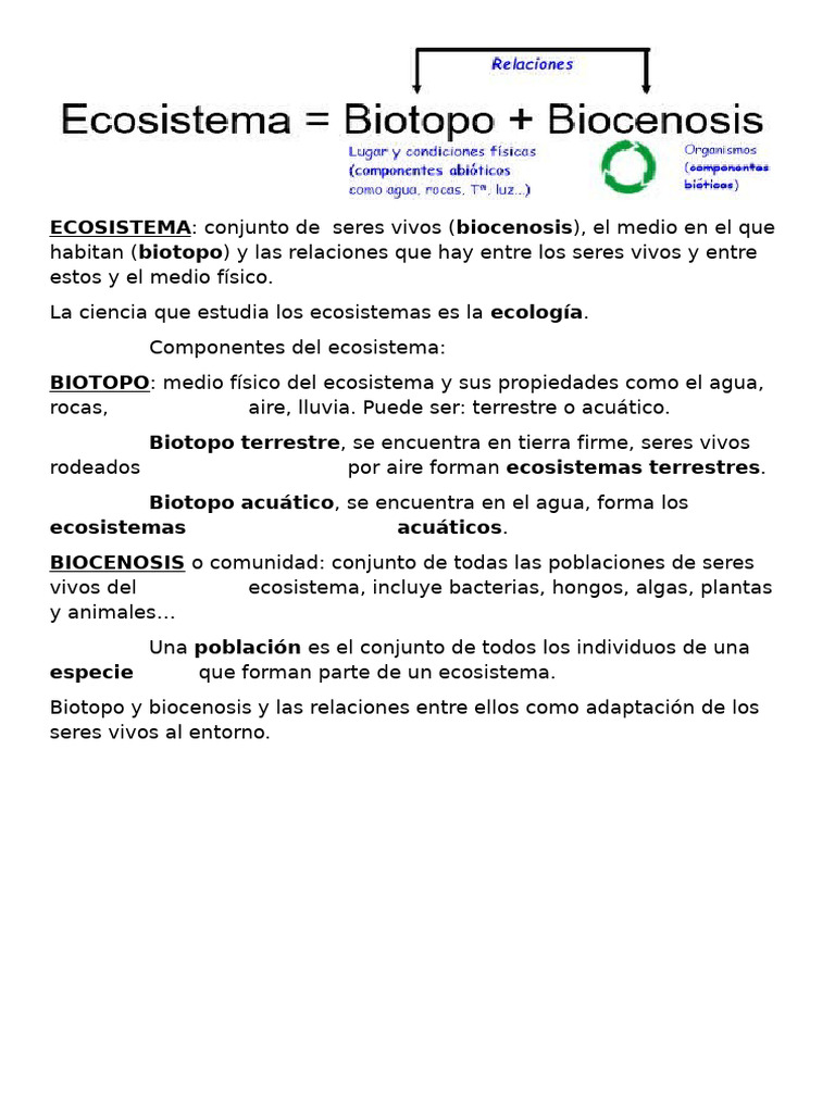 Ecosistemas | PDF | Ecosistema | Selva