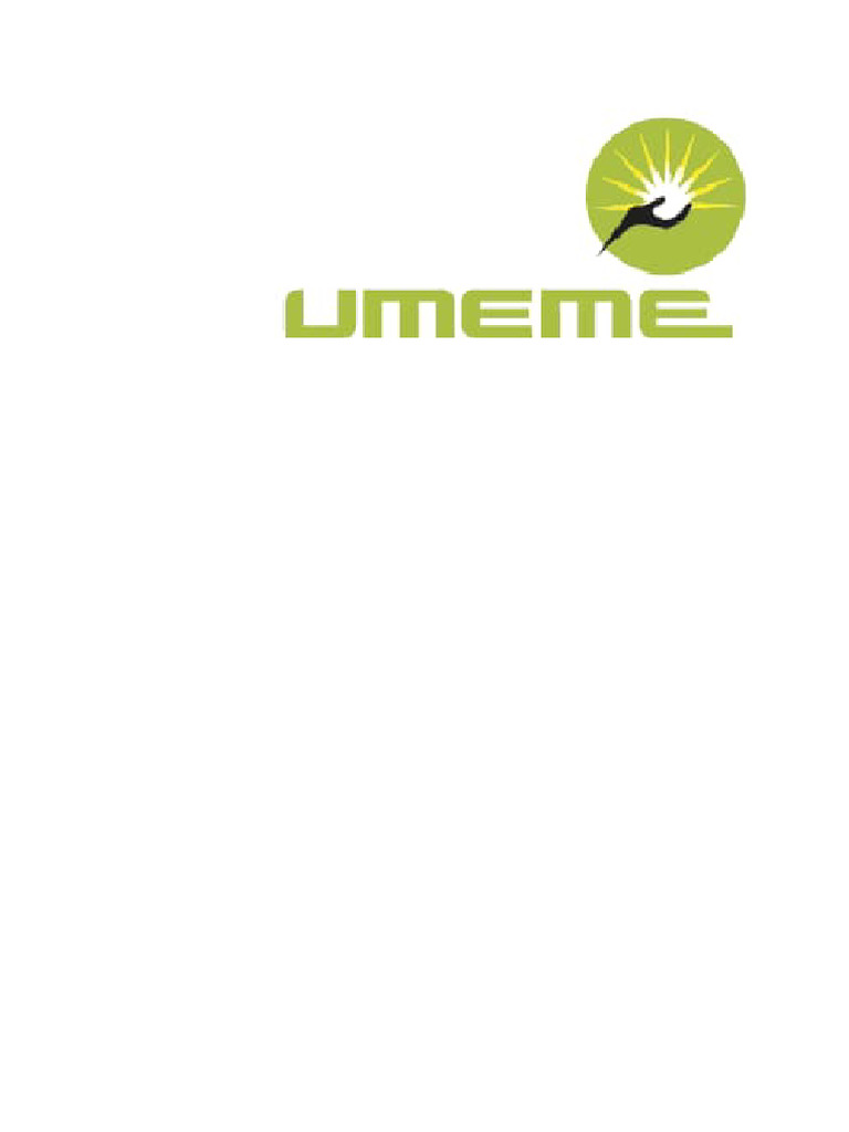 23 UMEME Financal Statements | PDF | Dividend | Exchange Rate