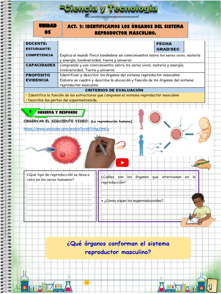 B-4º ACT 2-CYT-UND 5 Cta | PDF | Sistema reproductivo | Semen