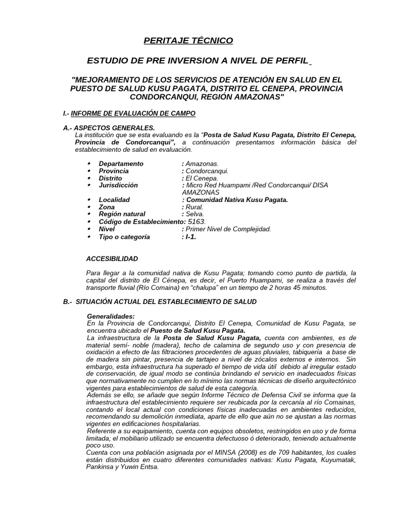 Peritaje Tecnico-Kusu Pagata | PDF