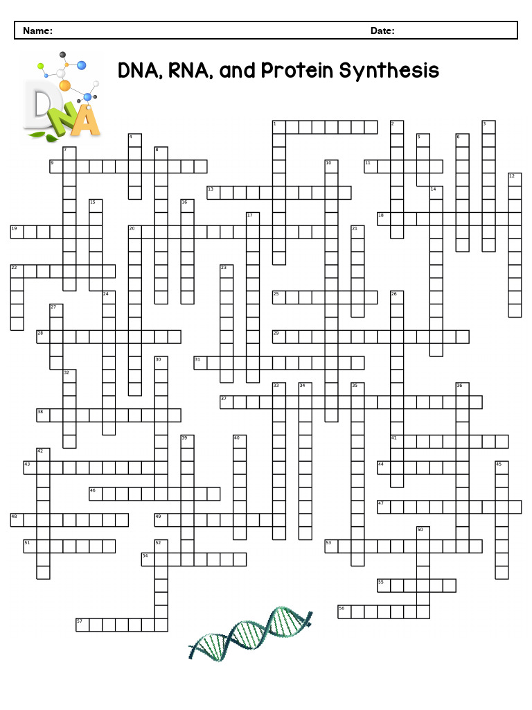DNA RNA Crossword | PDF | Language Arts & Discipline | Wellness