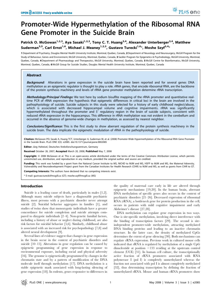 Promoter-WideHypermethylationoftheRibosomalRNA GenePromoter ...