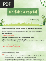Raízes Adventícias: Exemplos e Funções | PDF | Raiz | Morfologia vegetal