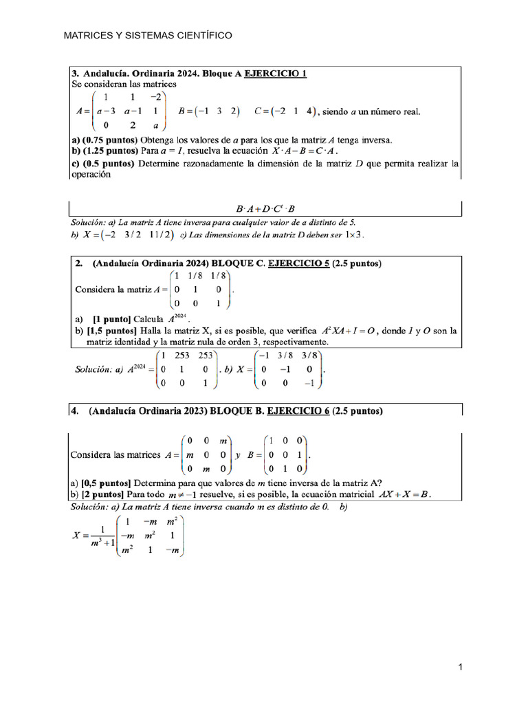 Matrices y Sistemas | PDF | Informática