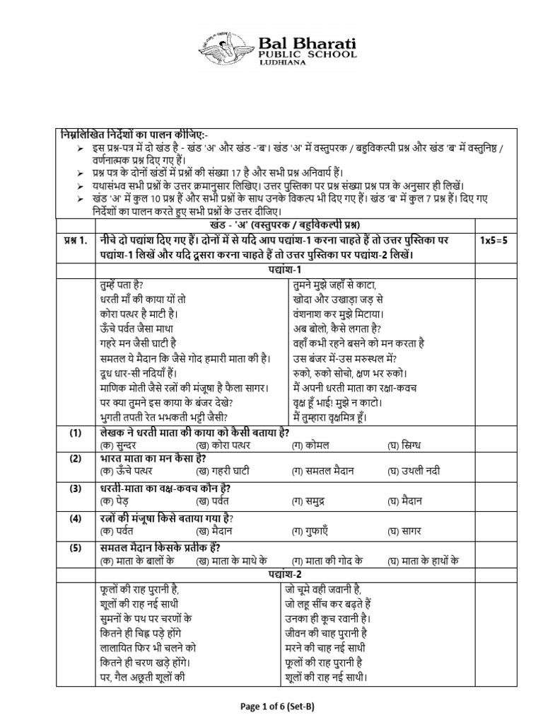 X_Hindi_QP_Set-B | PDF