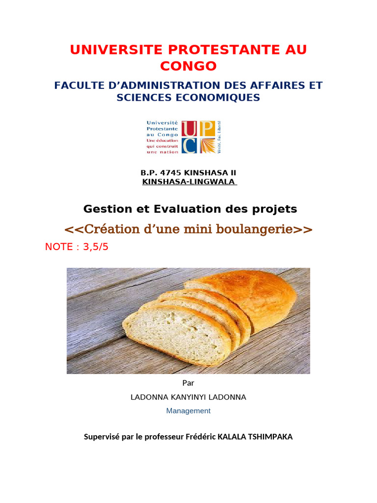 Mini Boulangerie à Kinshasa | PDF | Taux de rentabilité interne ...